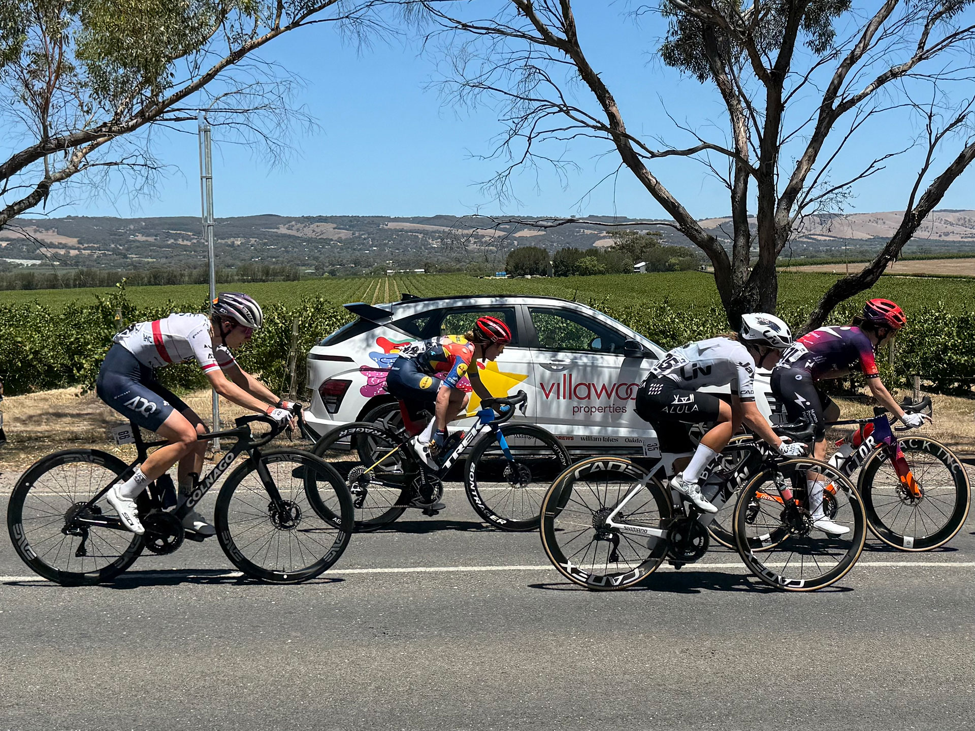 Villawood’s Sponsorship Fuels Excitement at the 2025 Tour Down Under ...